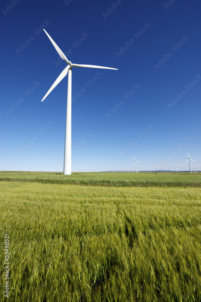 wind energy Stock Photo | Adobe Stock