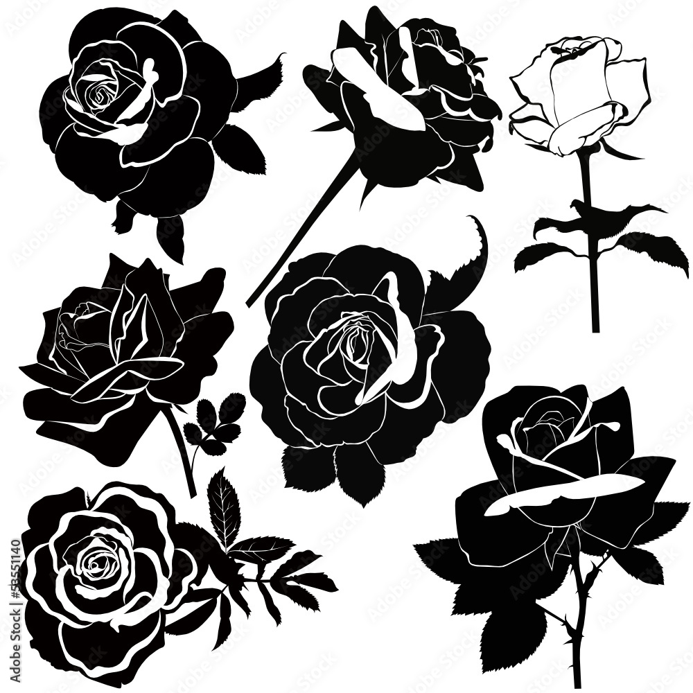 vector collection of rose flowers isolated Stock Vector | Adobe Stock