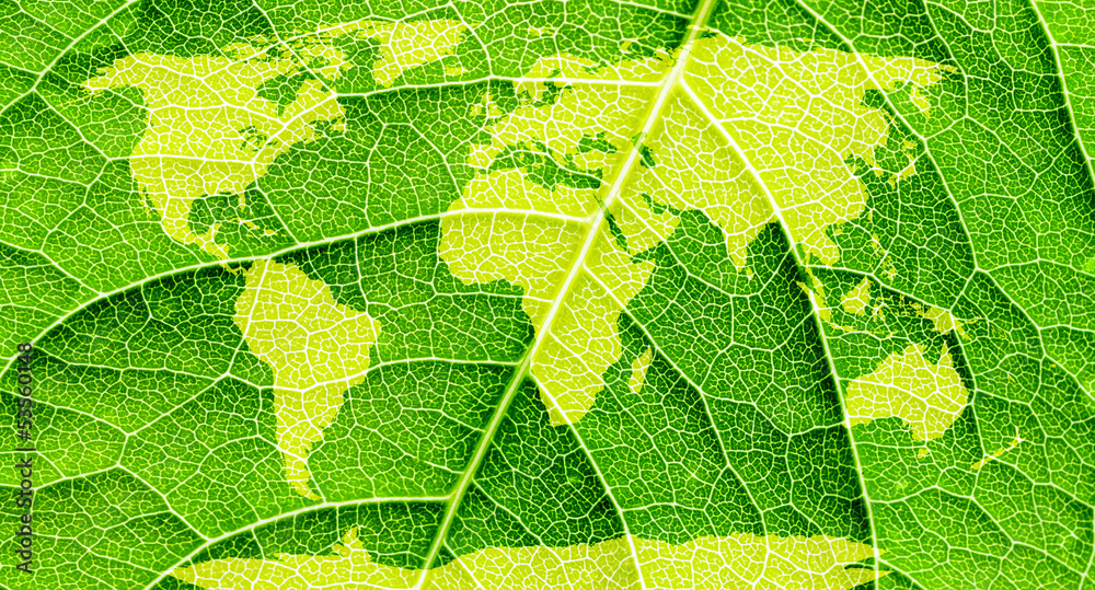 World map, continents in green leaf background. Stock Illustration ...