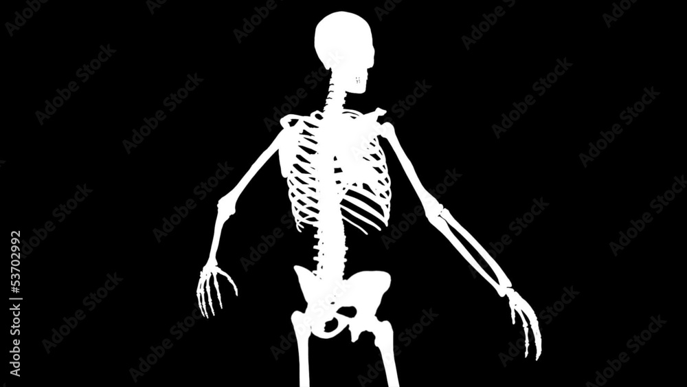 Human skeleton in loop rotation with luma key included Stock Video ...