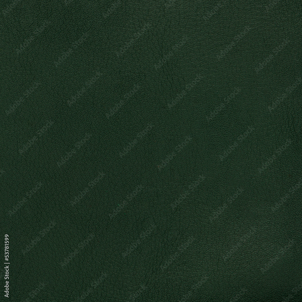Green leather texture closeup Stock Photo | Adobe Stock
