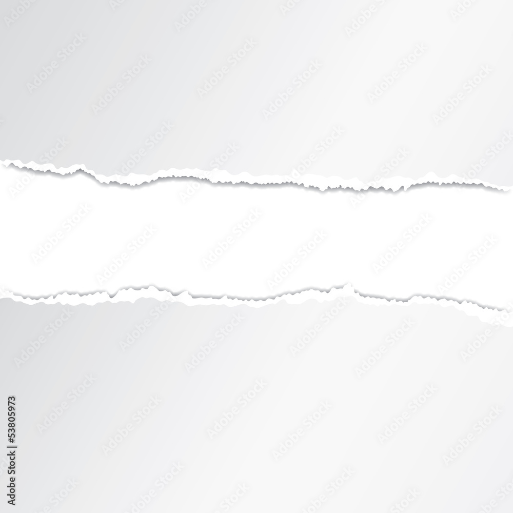 White background with torn paper Stock Vector | Adobe Stock