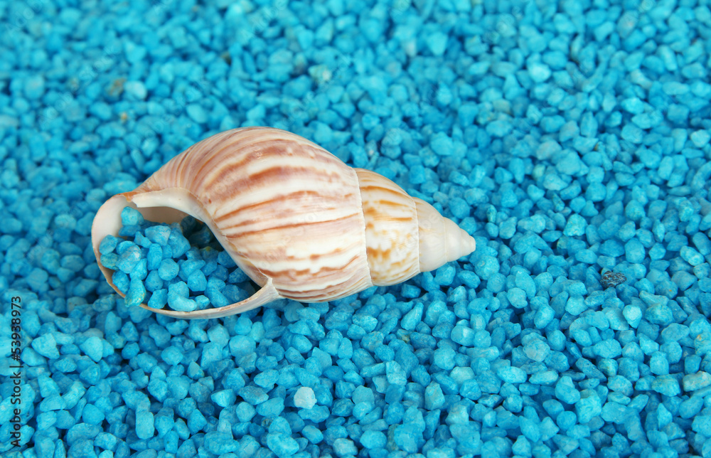 Shell on blue crystals of sea salt background Stock Photo | Adobe Stock