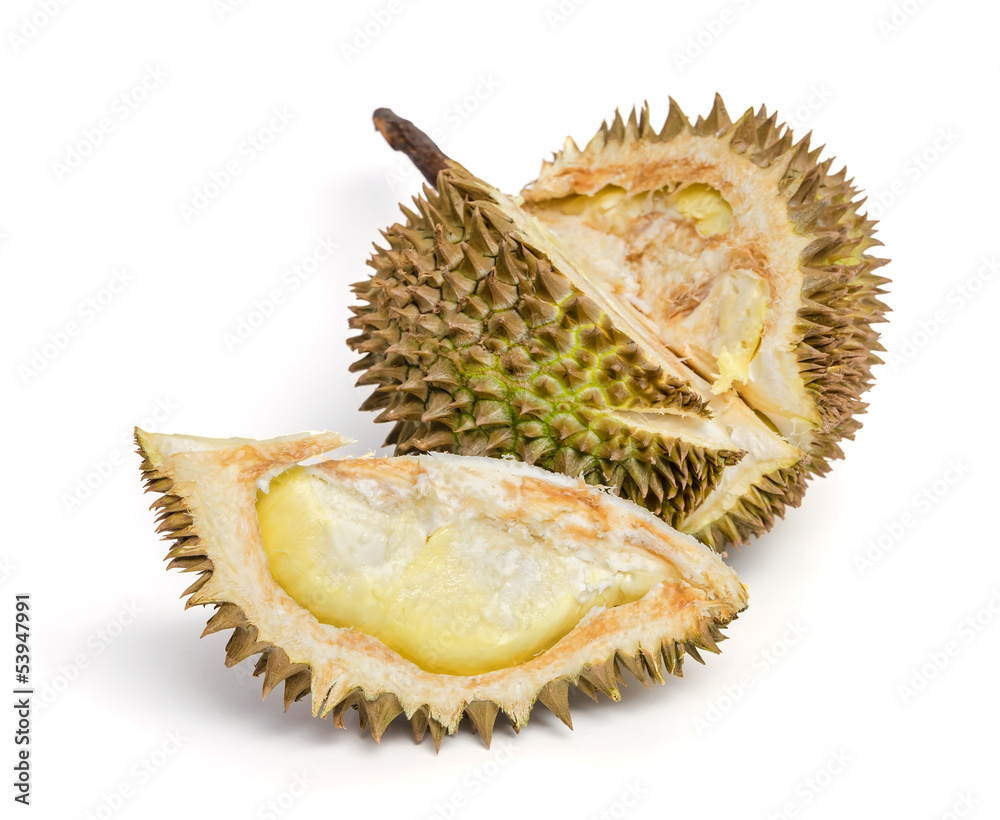 Giant Durian
