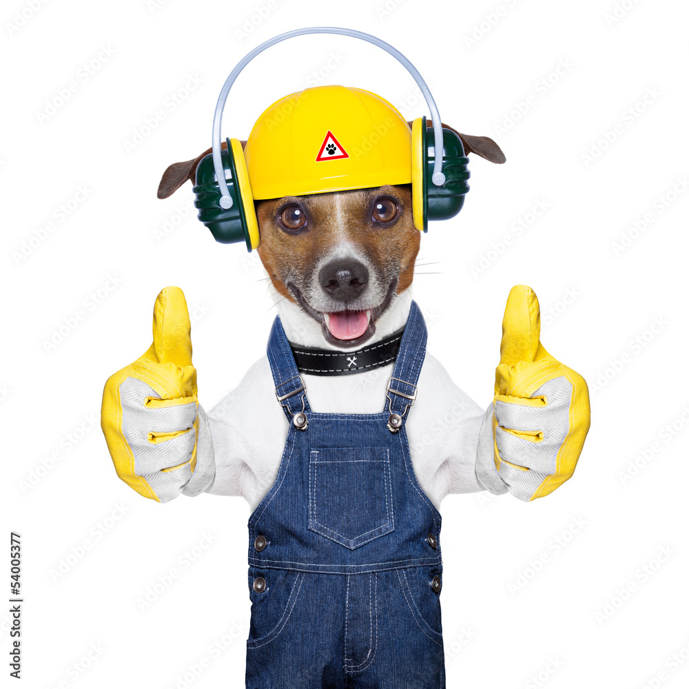 under construction dog Stock-Foto | Adobe Stock
