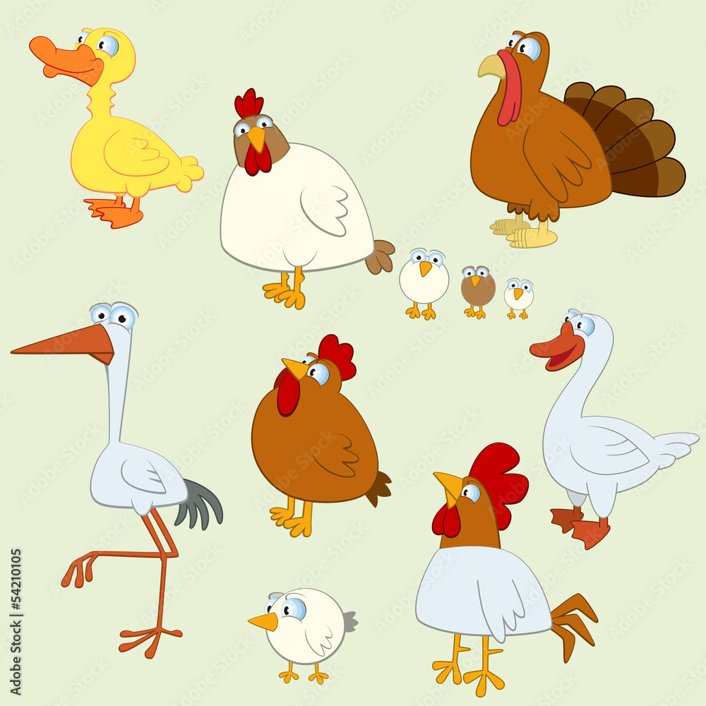 Cartoon Bird Set Stock Vector | Adobe Stock