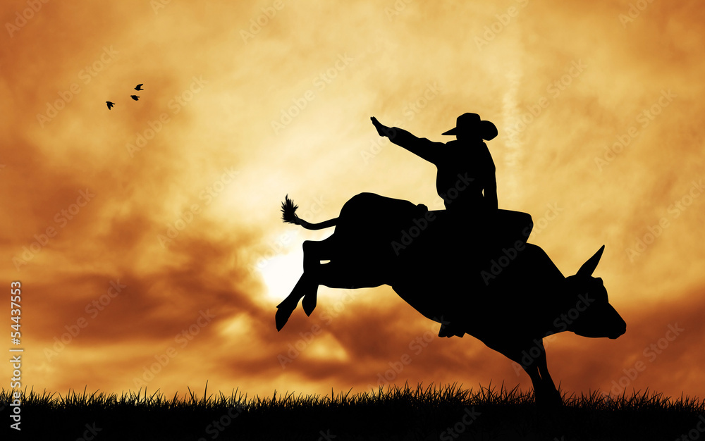 Bull rider at sunset Stock Illustration | Adobe Stock