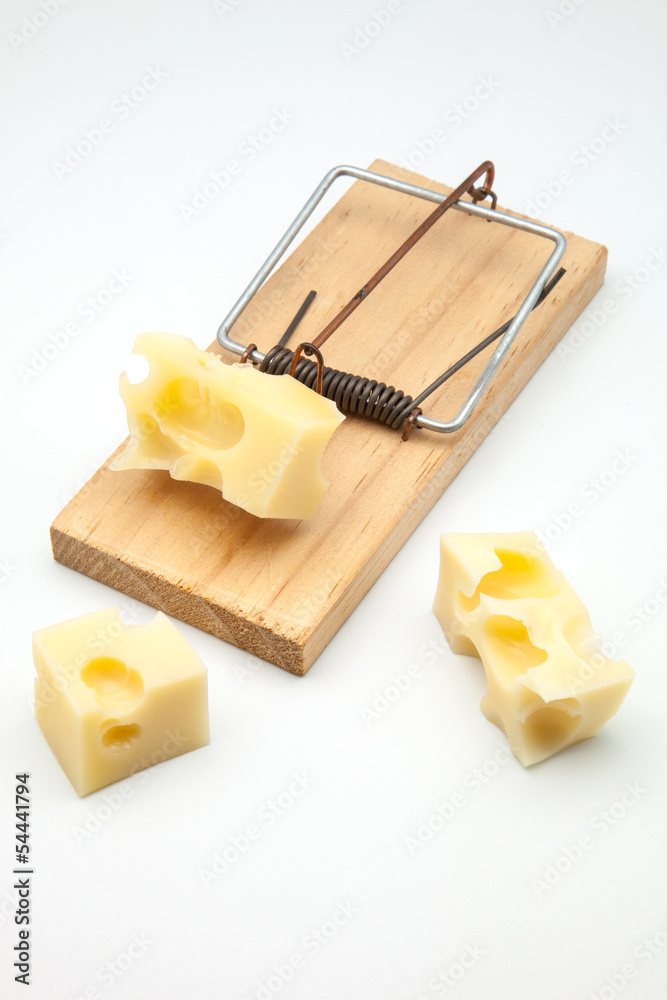 ratonera foto de Stock | Adobe Stock