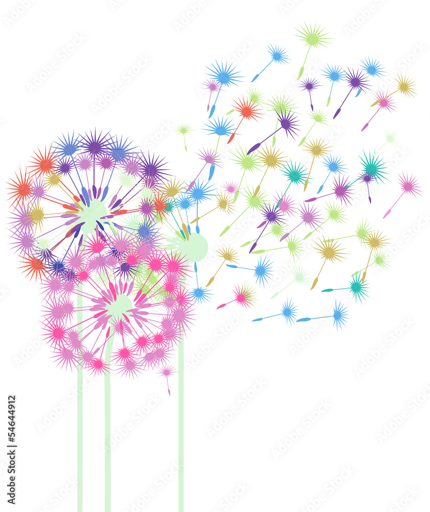 bunte Pusteblumen Stock Vector | Adobe Stock