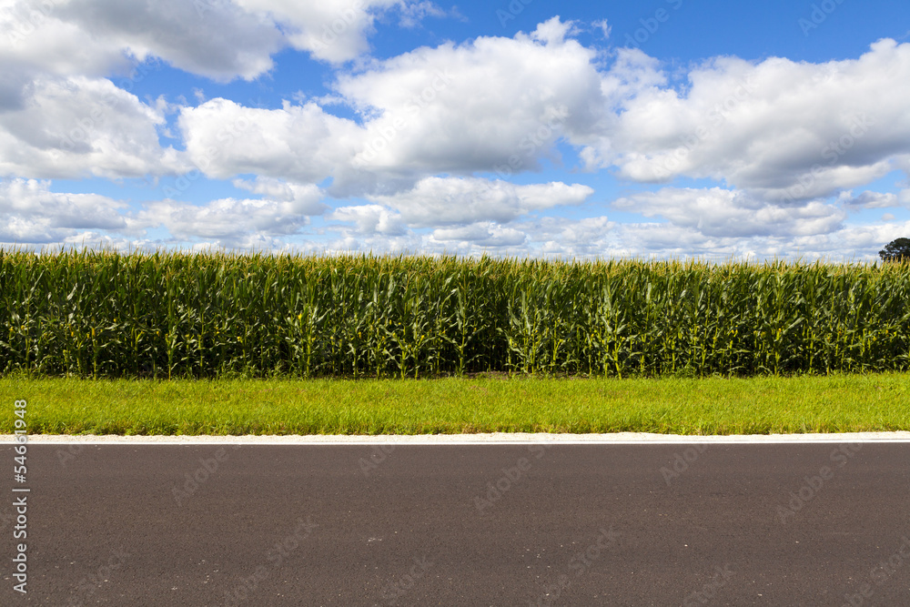 American Country Road Side View Stock Photo | Adobe Stock