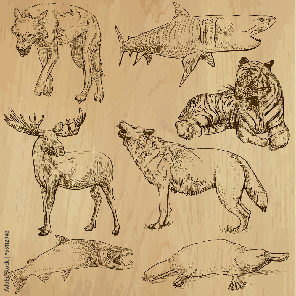 Animals around the World (part 3). Collection of hand drawings. Stock ...