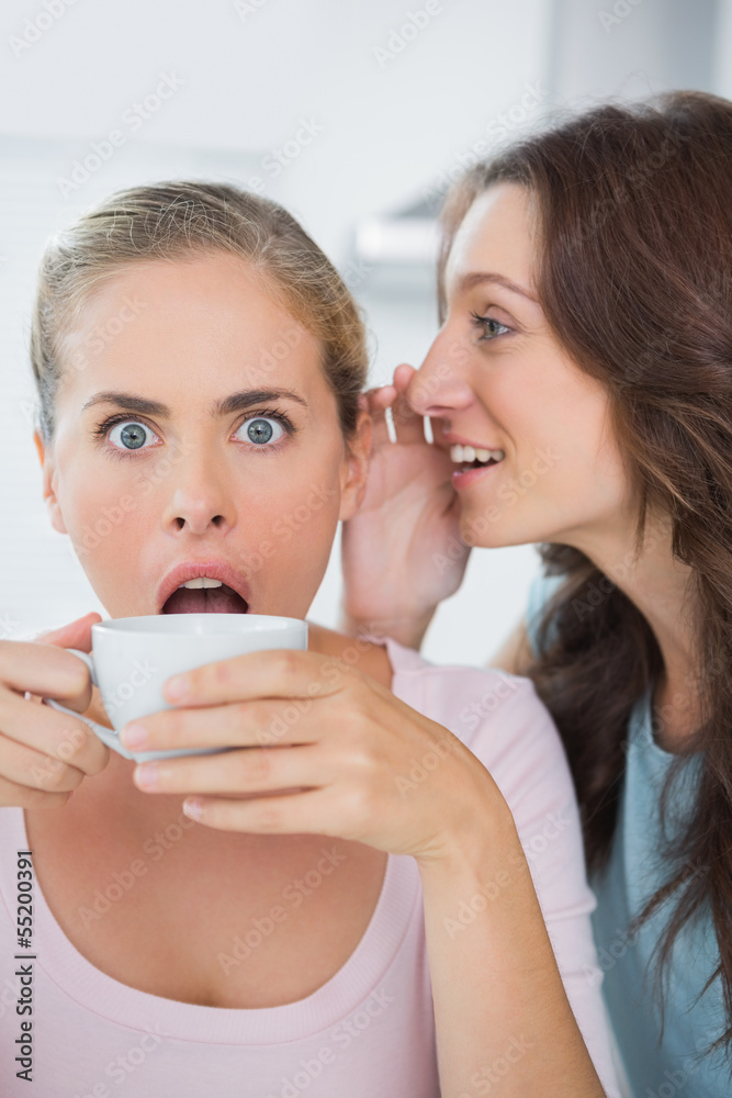 Stunned woman being told secret Stock Photo | Adobe Stock