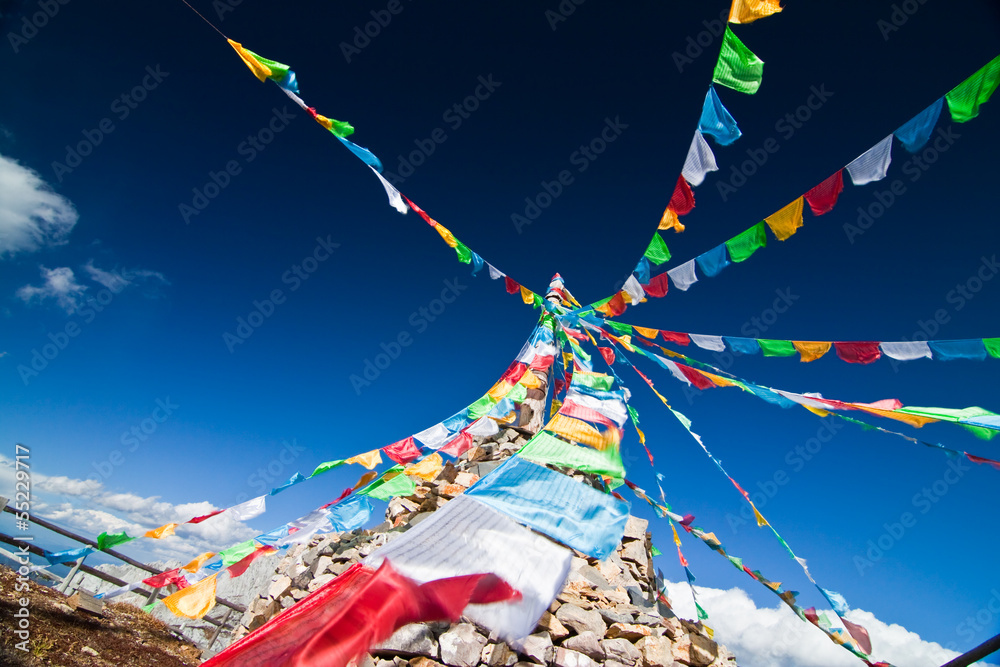 Tibet's flag Stock Photo | Adobe Stock