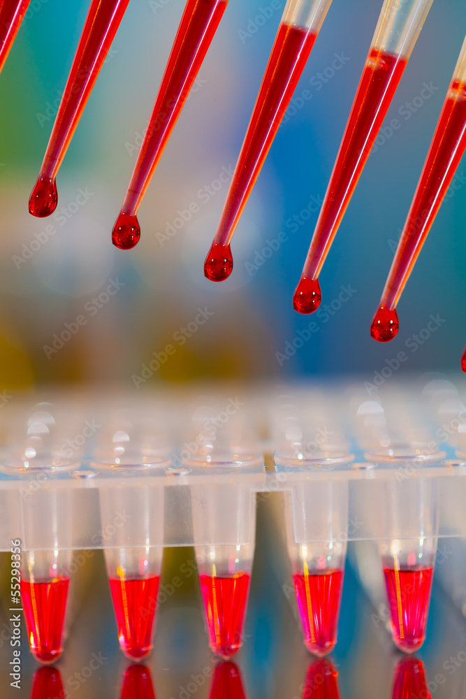 DNA analysis: loading reaction mixture into 96-well plate with m Stock ...
