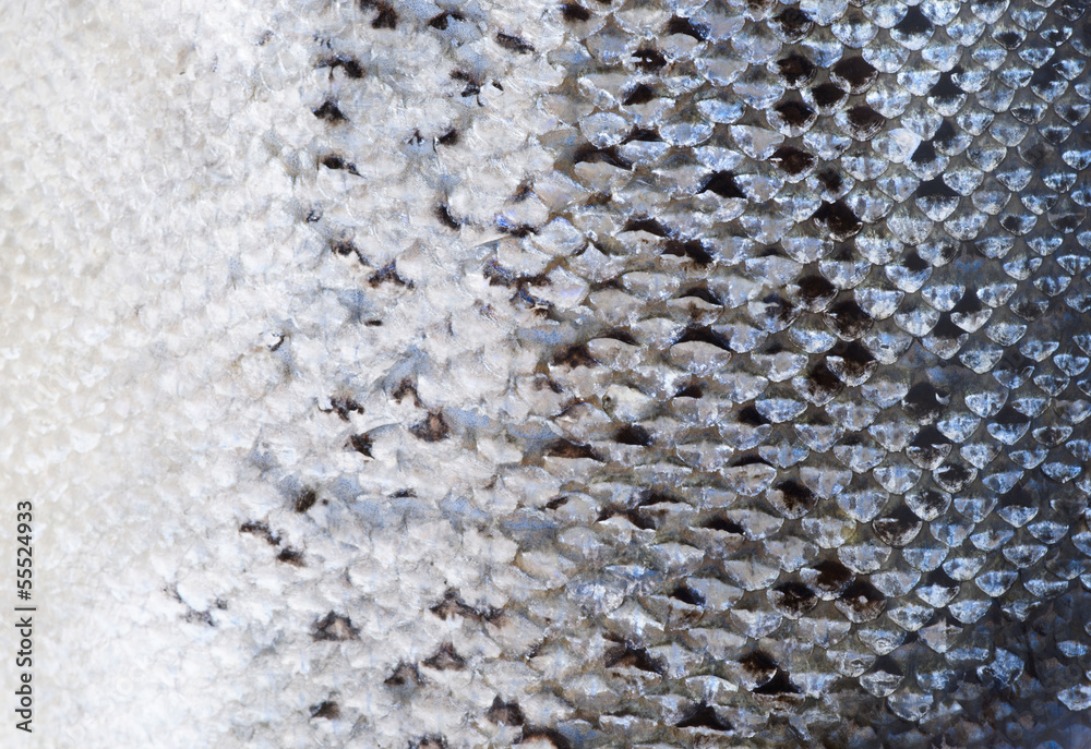 Salmon scales texture Stock Photo | Adobe Stock