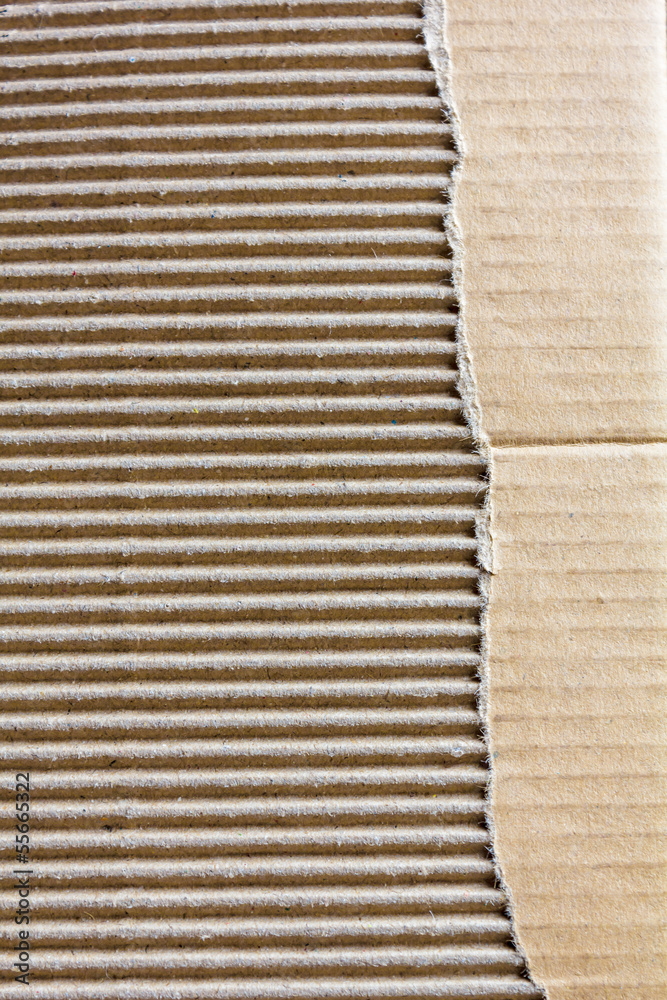 Textura de cartón ondulado Stock Photo | Adobe Stock