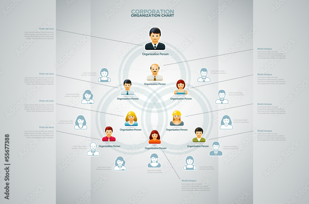 Organization Chart Stock Vector | Adobe Stock