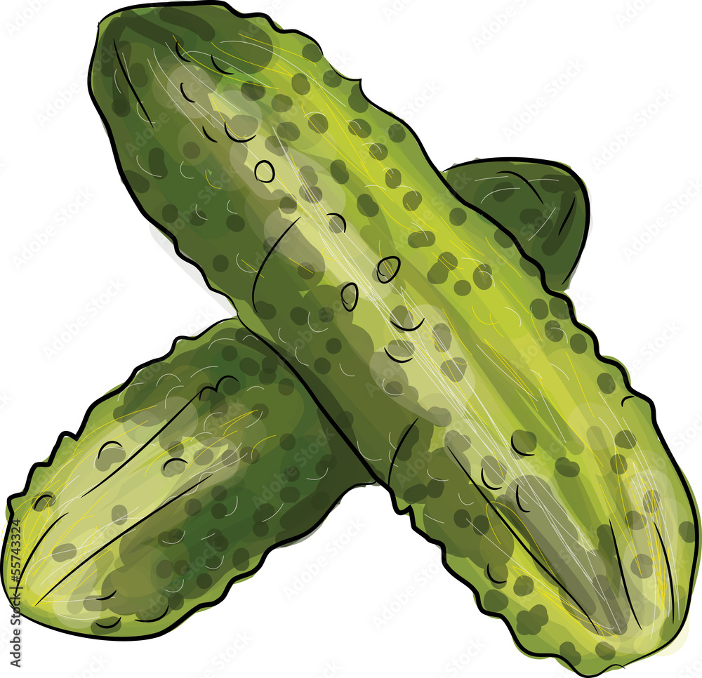 gurken gemalt vector de Stock | Adobe Stock