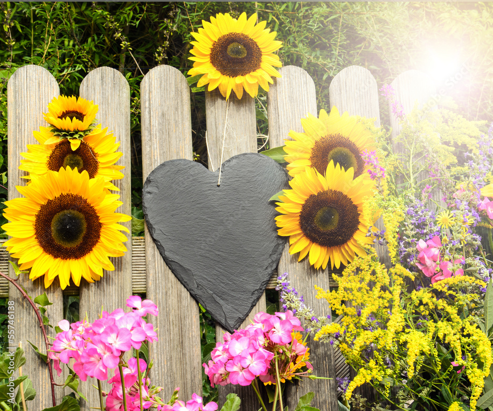 Herzförmige Schiefertafel an Gartenzaun mit Blumen foto de Stock | Adobe Stock