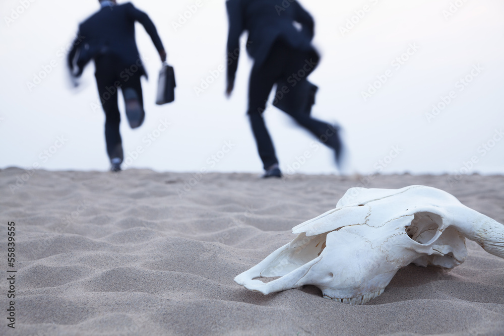 Two businessmen running away from an animal skull in the middle of the ...