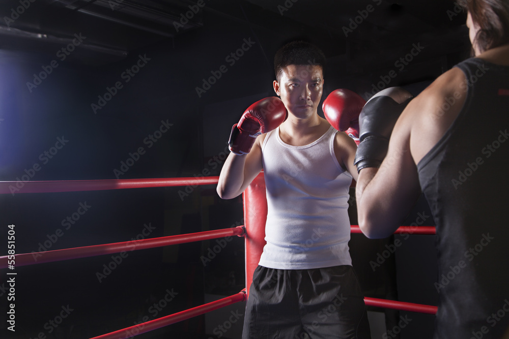 Over the shoulder view of two male boxers getting ready to box in the ...