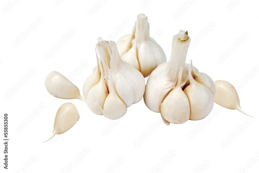 Garlic Stock Photo | Adobe Stock