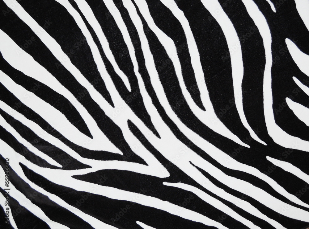 zebra texture Stock Photo | Adobe Stock