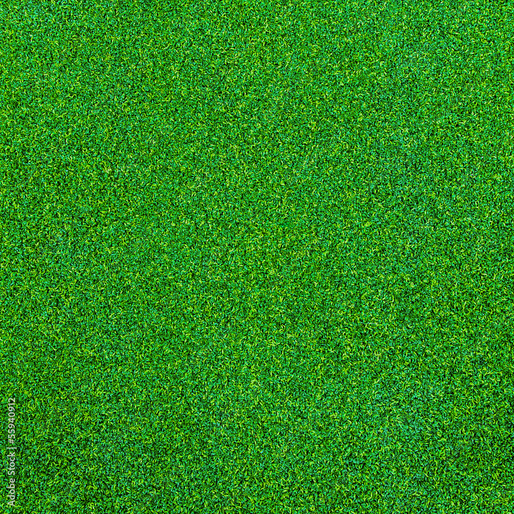 Green grass texture for background Stock Photo | Adobe Stock