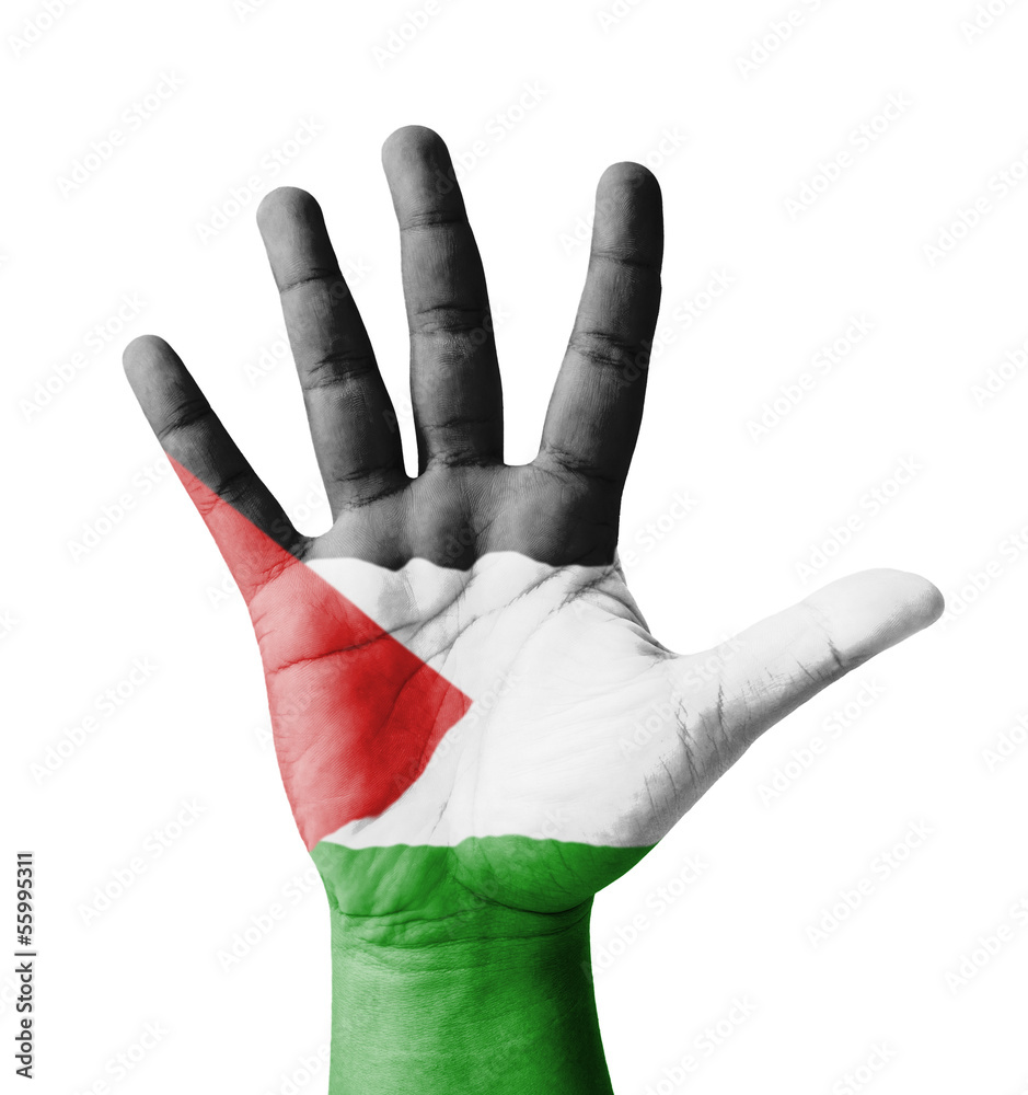 Open hand raised, multi purpose concept, Palestine flag painted Stock ...