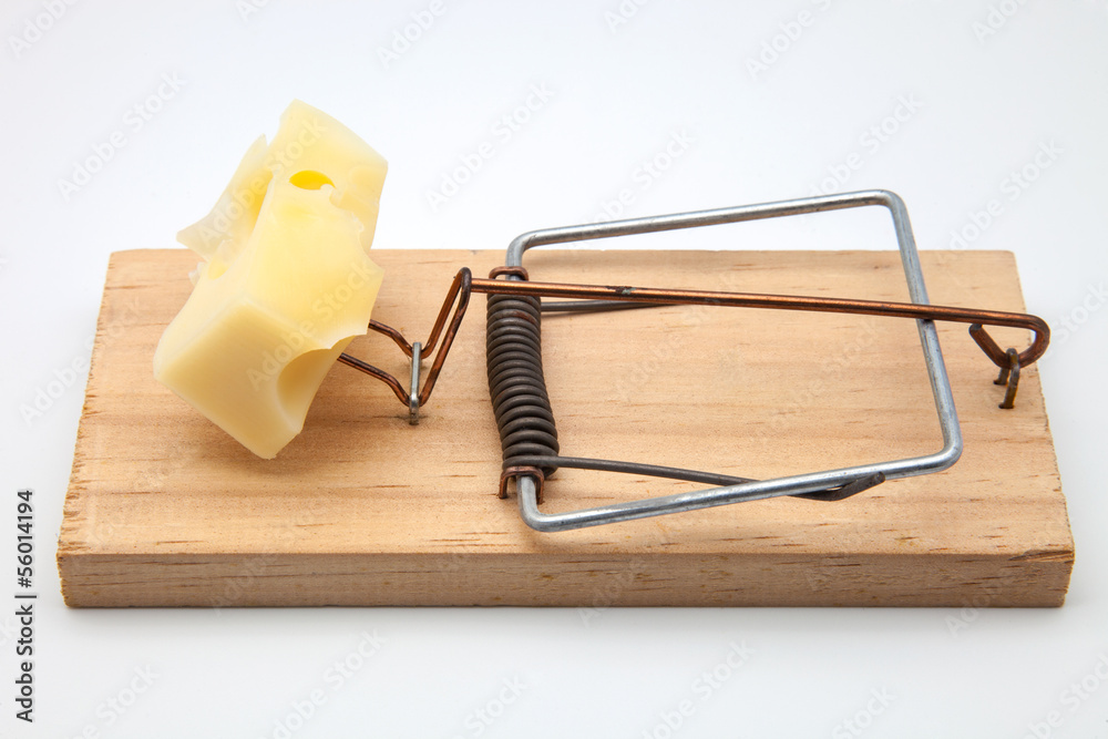 ratonera foto de Stock | Adobe Stock