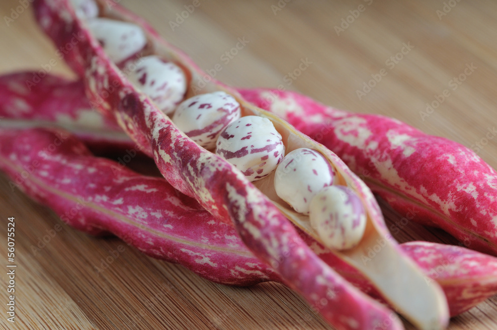 Haricots cocos rouge Photos | Adobe Stock