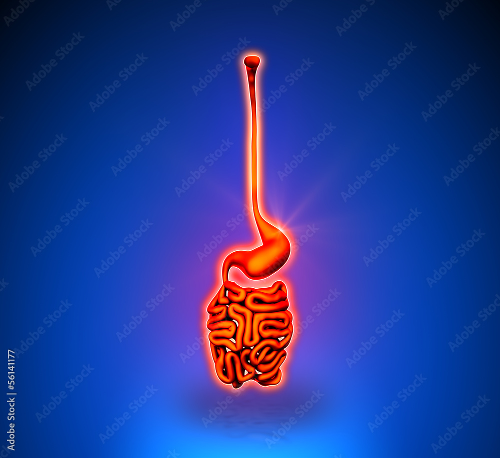 Guts - Internal organs - blue background Stock Illustration | Adobe Stock