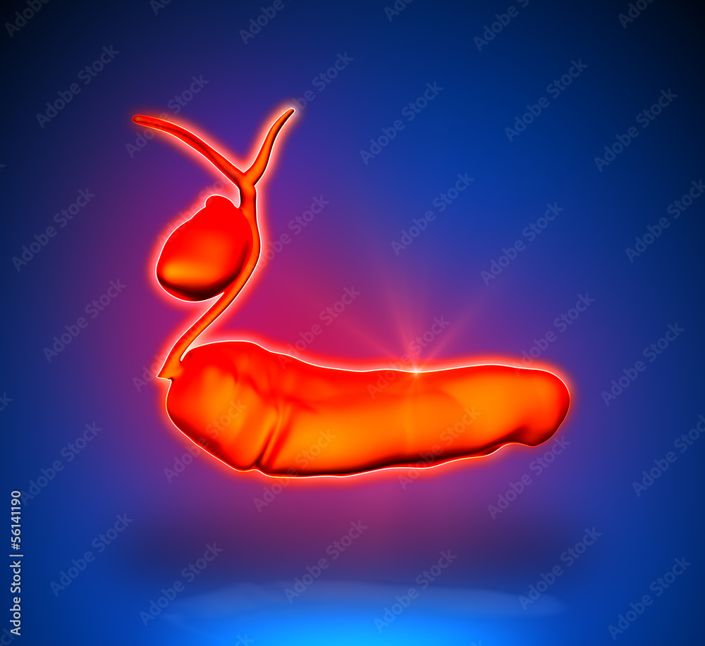 Pancreas / Gallbladder - Internal organs - blue background Stock ...