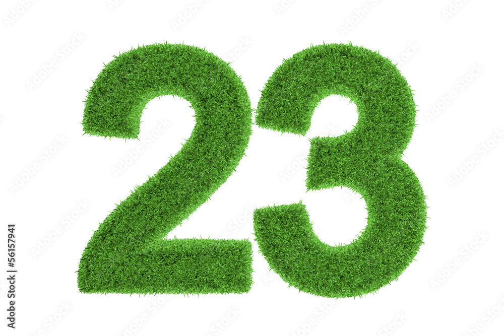 Number 23 with a green grass texture Stock Illustration | Adobe Stock