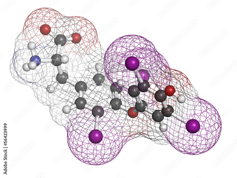 Thyroxine molecule, chemical structure. Thyroid gland hormone. Stock ...