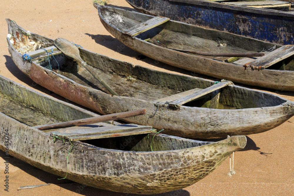 Old dugout canoes on the beach Stock Photo | Adobe Stock