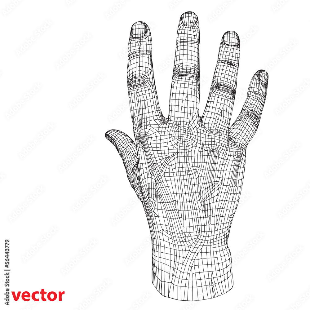 3d Hand Wireframe