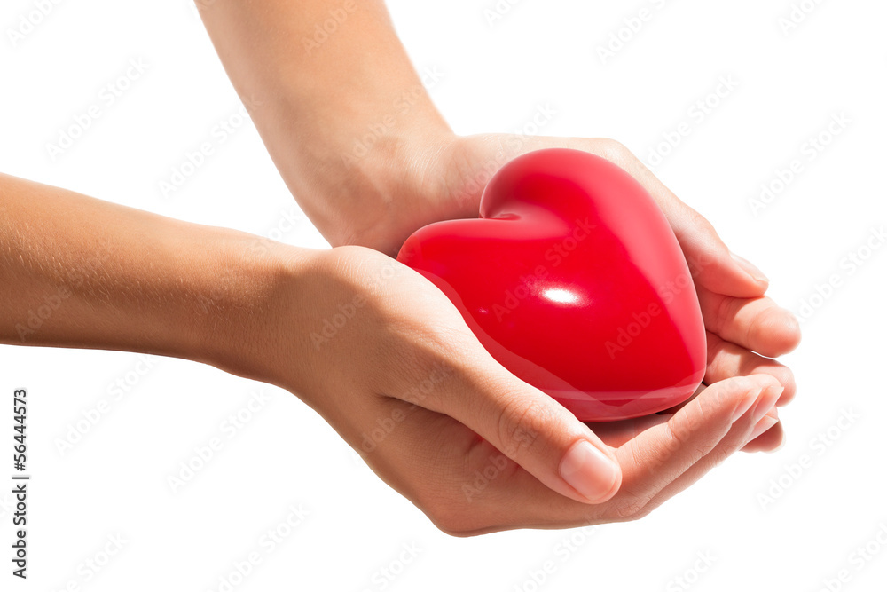 heart in hands - isolated on white Stock Photo | Adobe Stock