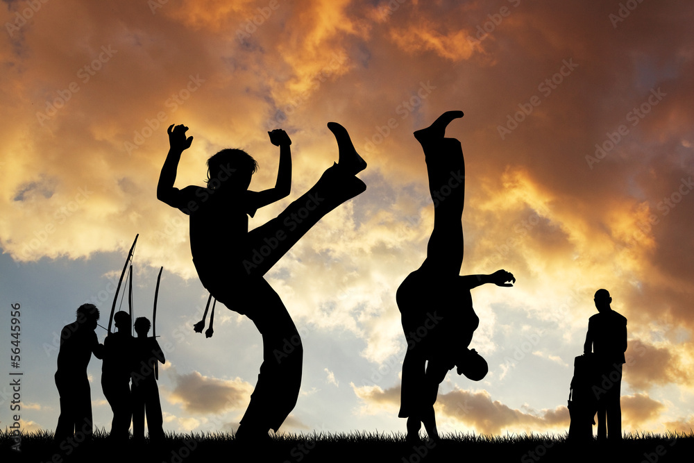 Capoeira at sunset Stock Illustration | Adobe Stock