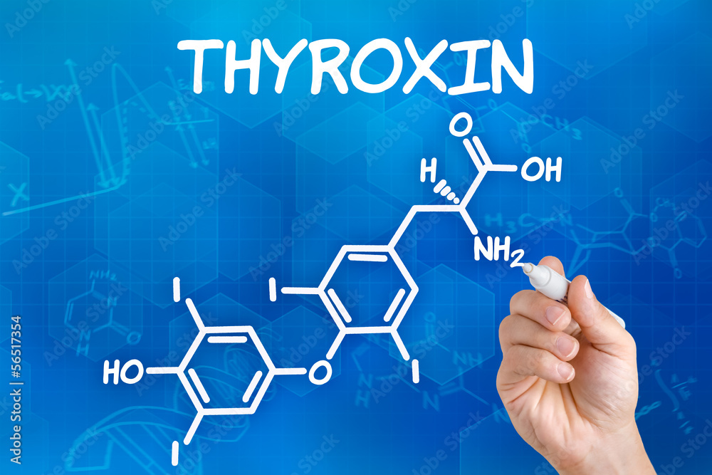 Hand zeichnet chemische Strukturformel von Thyroxin Stock Photo | Adobe ...