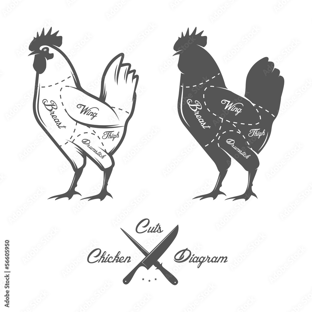 Chicken cuts diagram Stock Vector | Adobe Stock