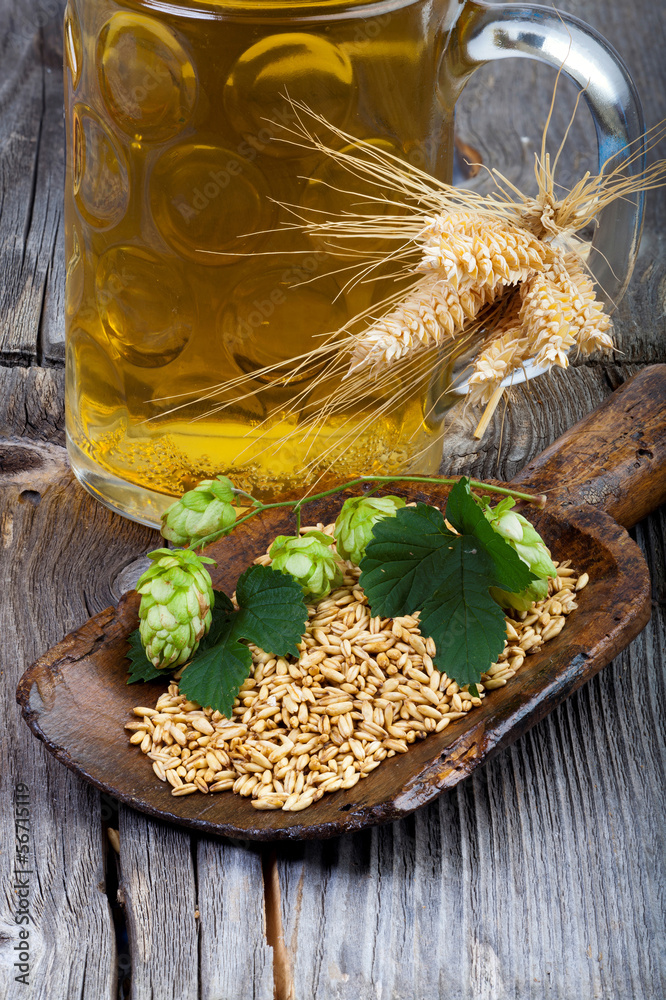 Bier und Zutaten zum Bier brauen Stock Photo | Adobe Stock