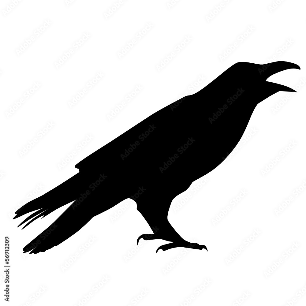 Rabe Stock-Vektorgrafik | Adobe Stock