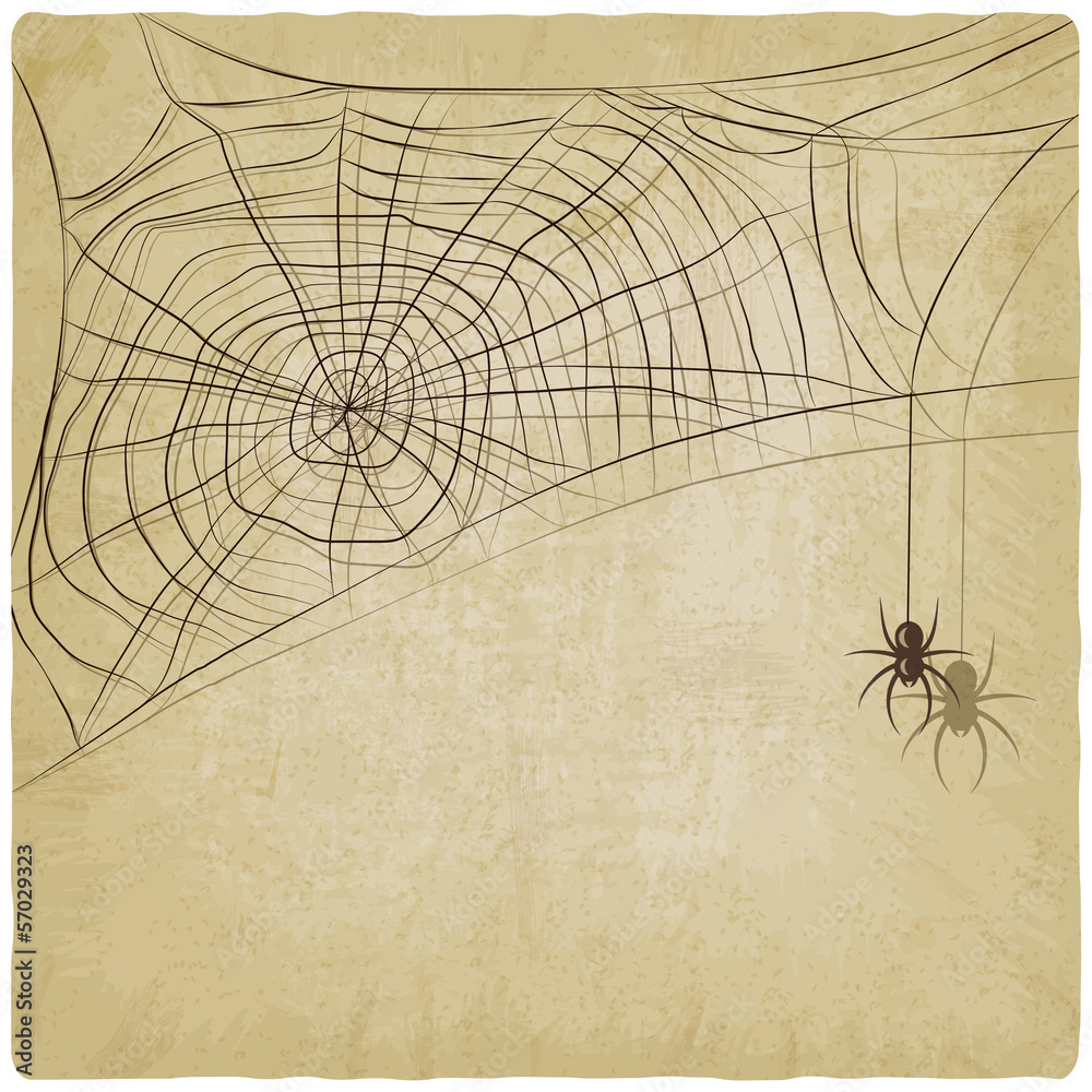 Vintage background with spider web - vector illustration Stock Vector ...