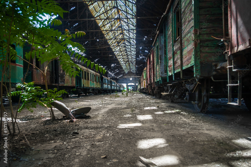 Old trains at abandoned train depot Stock Photo | Adobe Stock