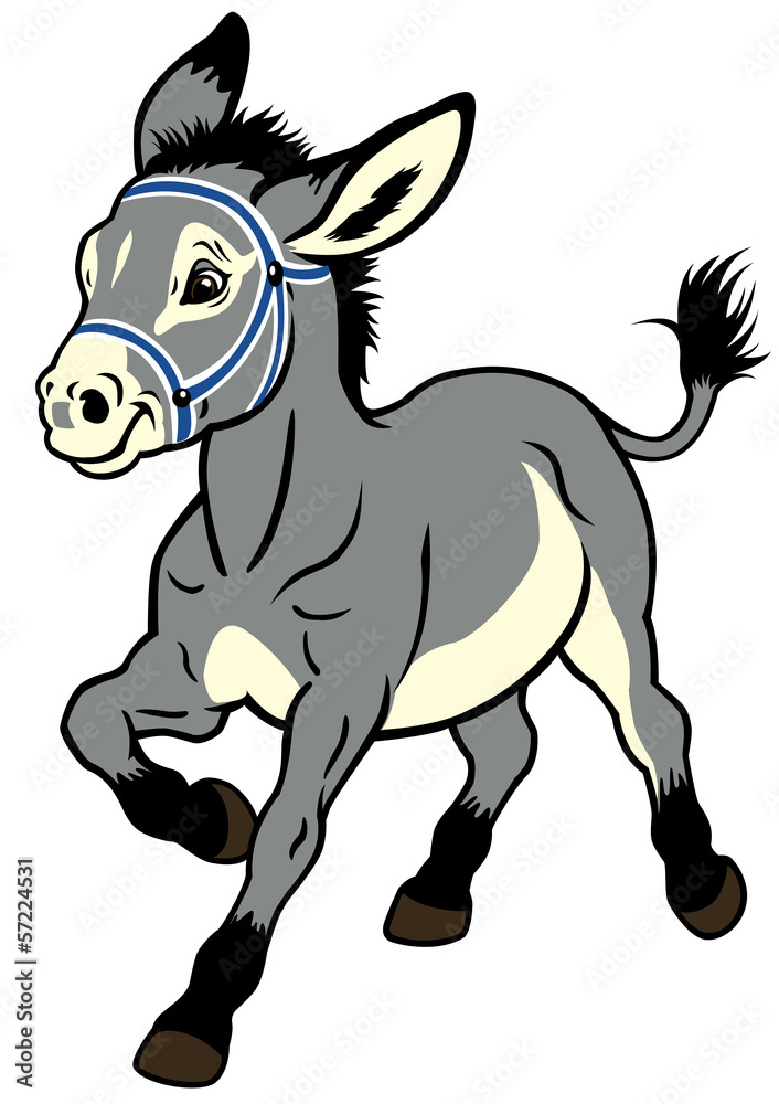 cartoon donkey Stock Vector | Adobe Stock