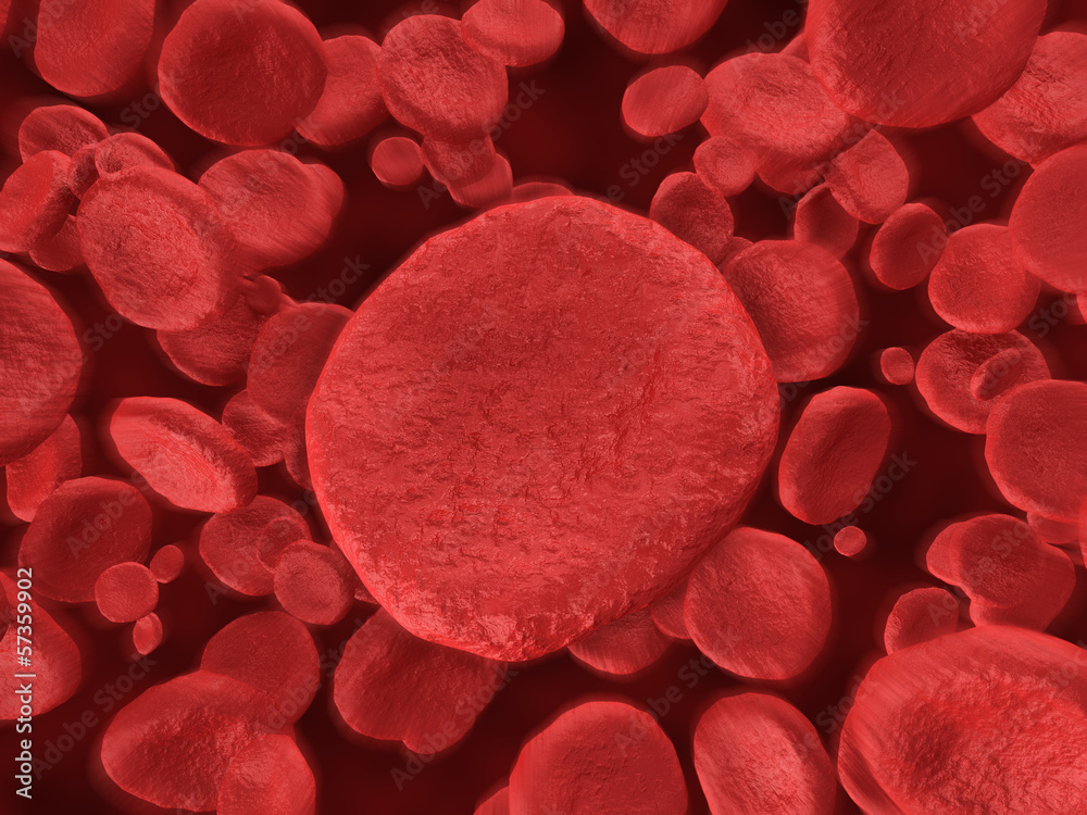 Digital Illustration of a Red Blood Cells Flowing Through Vein Stock ...