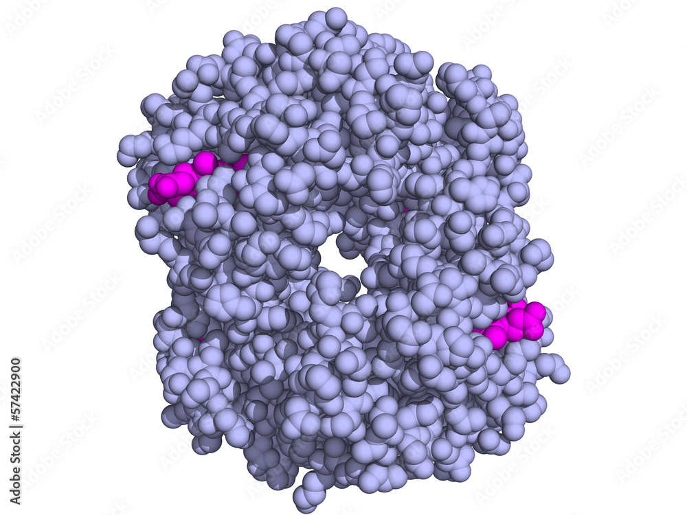 Human hemoglobin (Hb) protein molecule, chemical structure. Stock ...