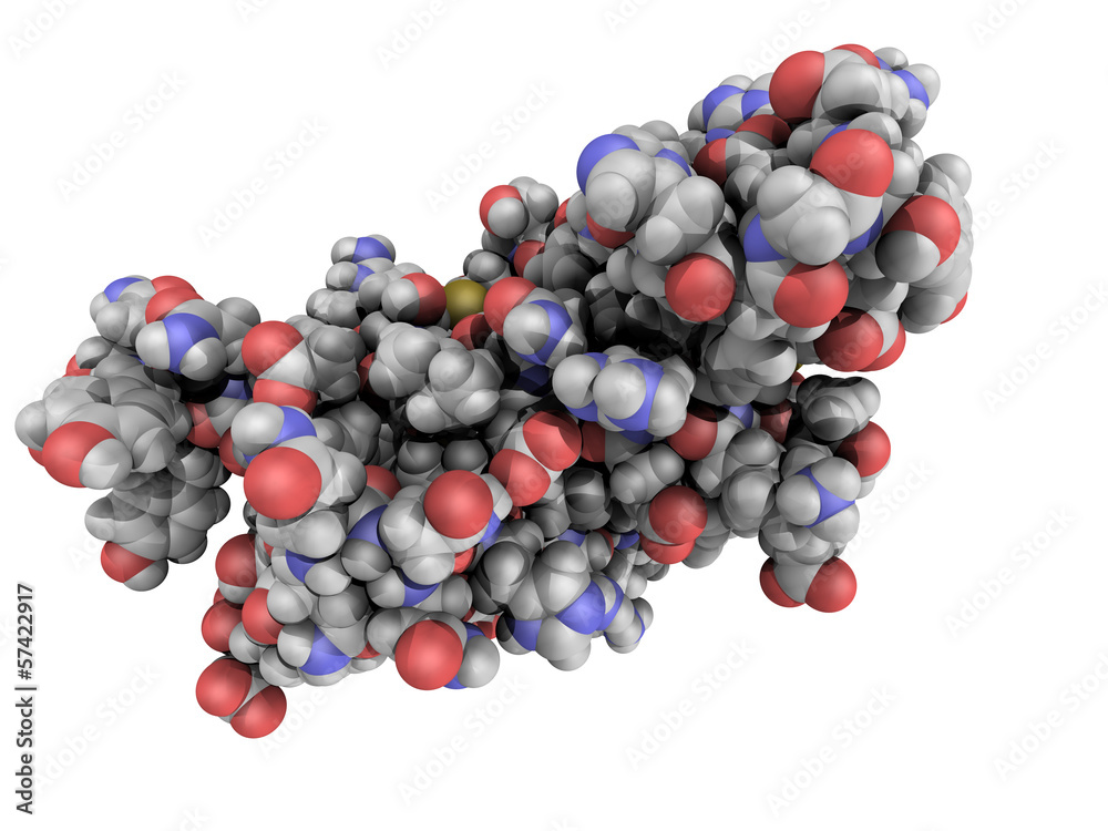 Chemical structure of a human prion protein molecule (hPrP) Stock ... Chemical structure of a human prion protein molecule (hPrP) Stock ...