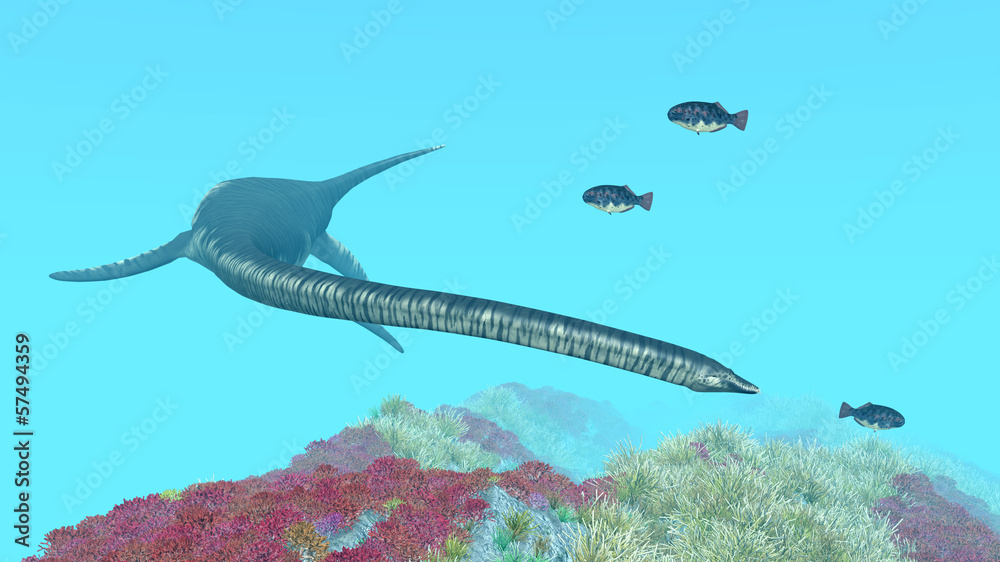 Plesiosaurier Elasmosaurus Stock-Illustration | Adobe Stock